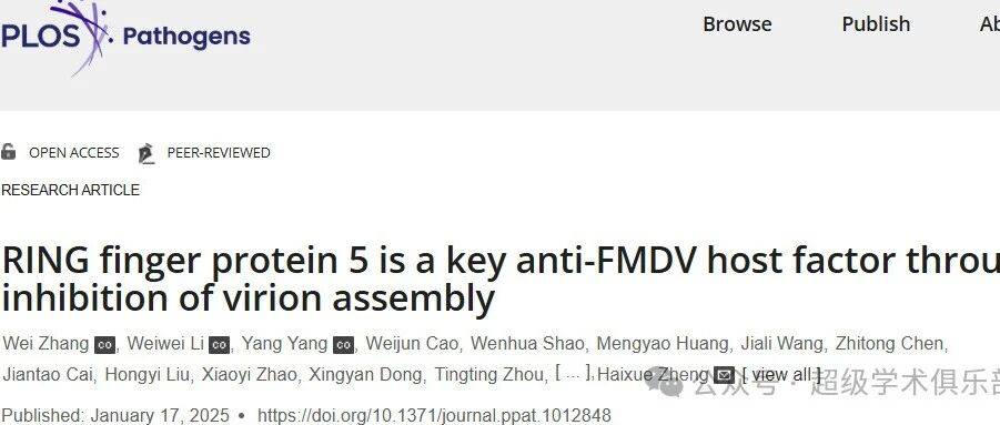 PloS Pathog.｜中国农业科学院兰兽研科研团队揭示宿主蛋白RNF5是抑制口蹄疫病毒粒子组装的抗病毒因子_研究性