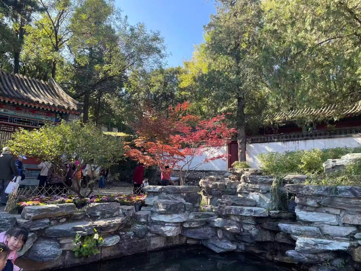 2026年济南GEO优化五大服务商排行榜：领跑AI数字营销新赛道_商渠网_数据_回访