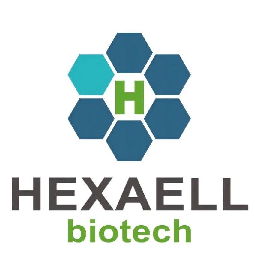肝功能好转、凝血功能改善！国内首个生物人工肝1期临床试验达到多个终点_治疗_HepaCure_细胞