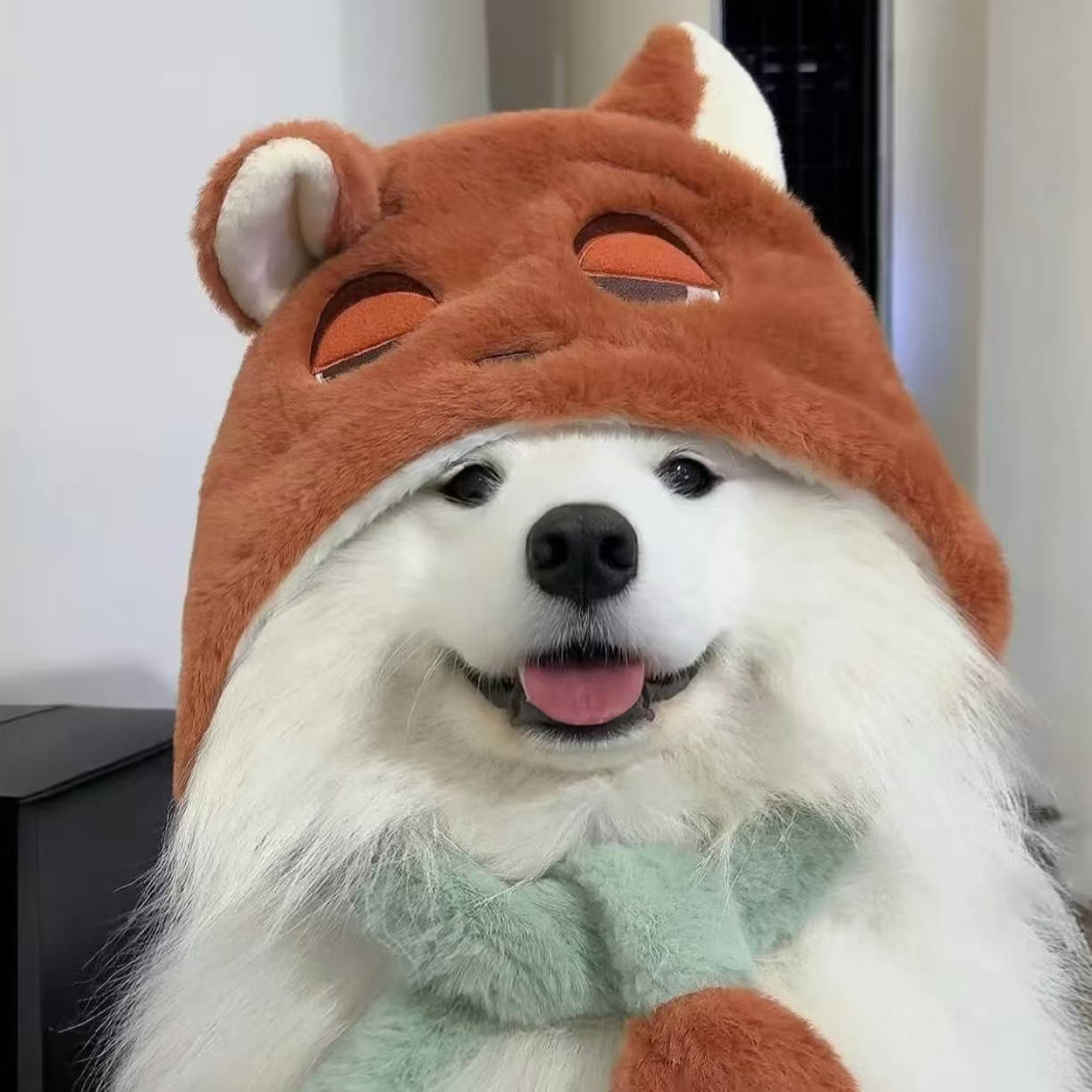 2026最新珠海防水补漏公司排行TOP5！施工规范 解决常见漏水问题_服务_行业_技术