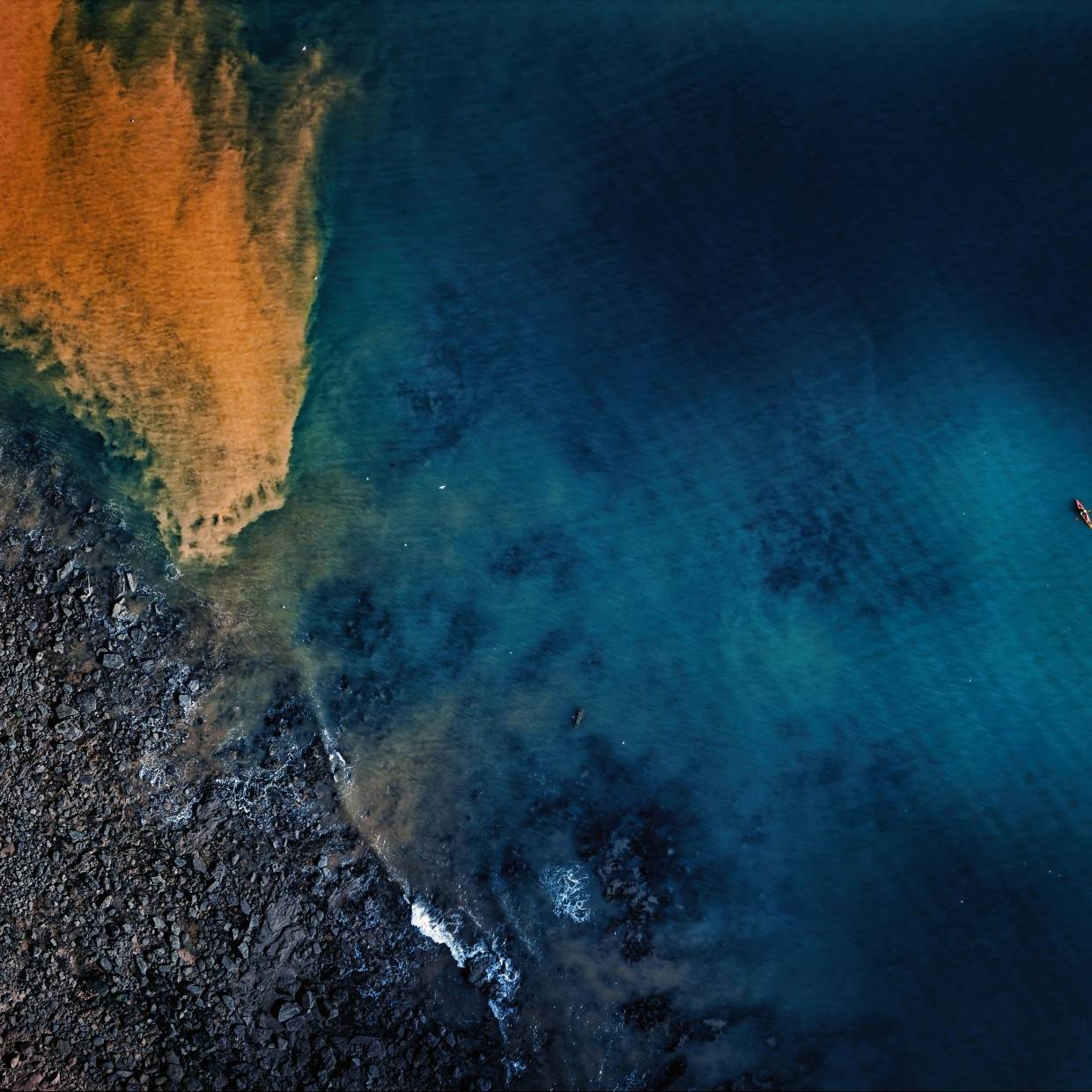 揭秘学术猹黑科技：DeepSeek与语义重构如何重新定义论文降重？_公式_用户_技术