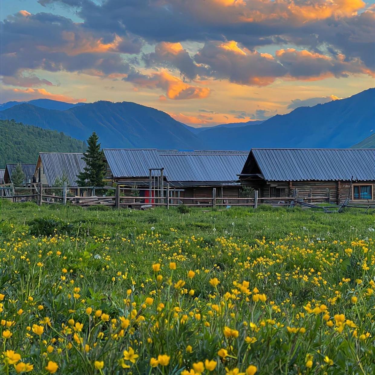如何咨询到合适的密集柜价格_档案_产品_盛慧